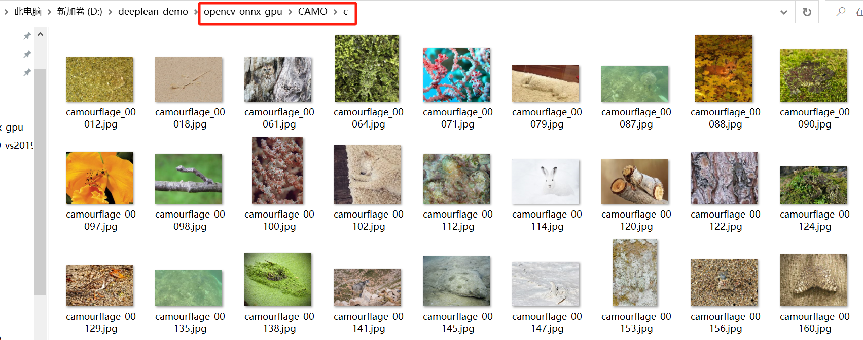 【深度学习】【opencv】【gpu】pythonc调用onnx模型c 调用onnx模型 Csdn博客