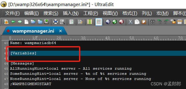 Wampserver 切换中文时无法启动报错处理 The Configuration File Contains A Syntax Csdn博客