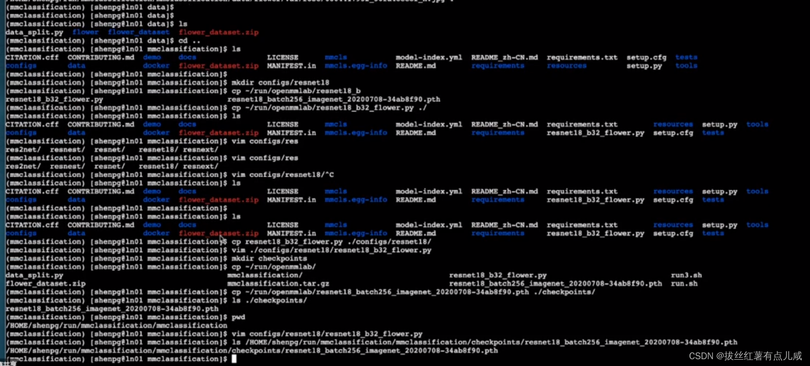 OpenMMLab 实战营打卡-第3课_load pth-CSDN博客