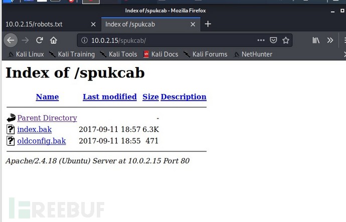 CTF之Web安全SSI注入-CSDN博客