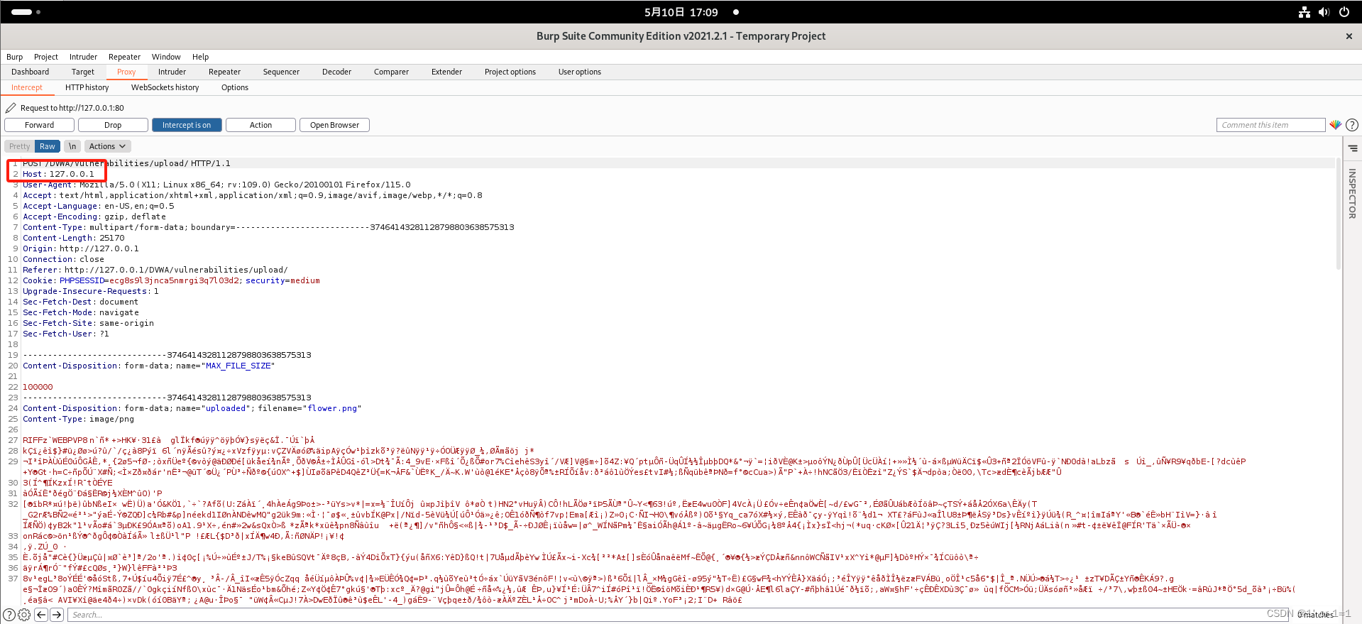 kali-linux 自带burp suite配置使用_burpsuite kali-CSDN博客