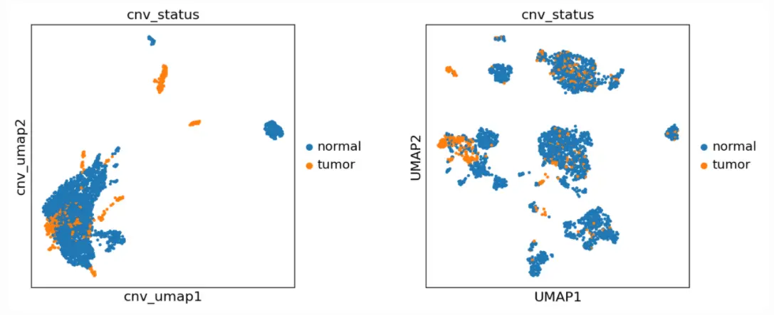 10X单细胞（10X空间转录组）CNV分析之inferCNVpy_infercnv文章-CSDN博客
