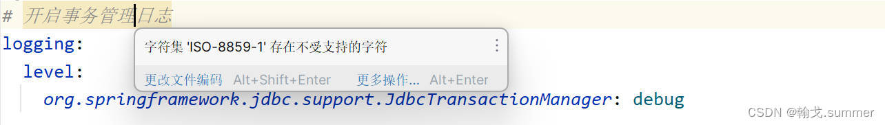 在yml配置文件中写中文注释报黄警告：字符集‘ISO-8859-1‘存在不受支持的字符_字符集 'iso-8859-1' 存在不受支持的字符-CSDN博客