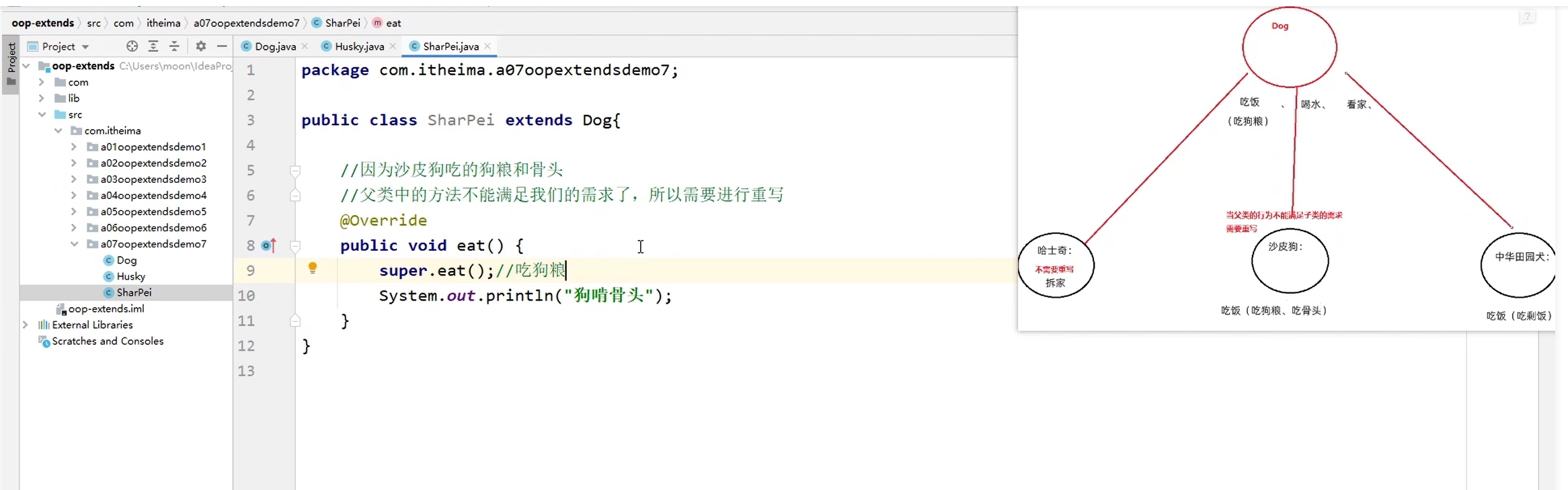 java202302java学习笔记第二十天-方法的重写4-CSDN博客