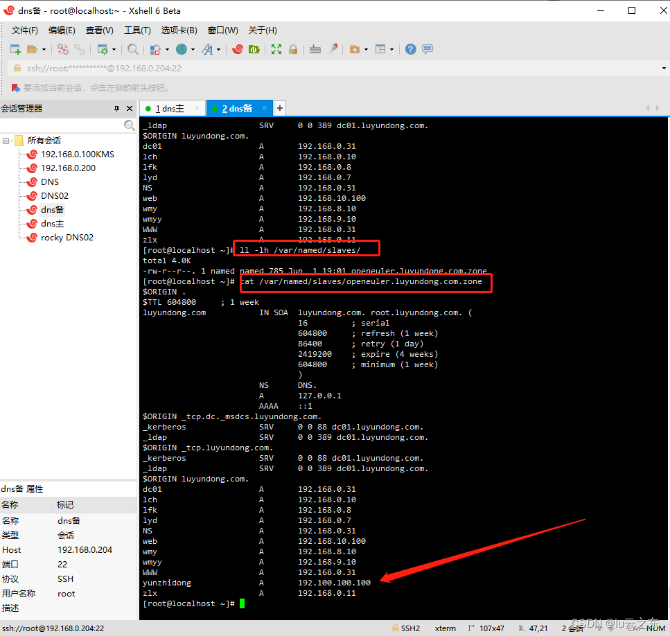 Rocky linux 搭建DNS主从服务器+keepalived实现高可用_keepalived dns-CSDN博客