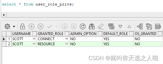 ORACLE数据库scott没有相关权限_为scott 授予 dba权限-CSDN博客
