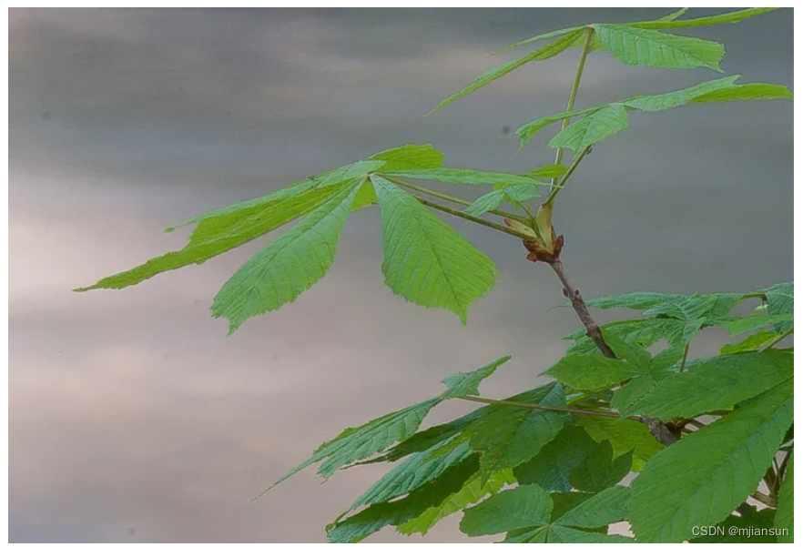 【ISP】Sharpen（1）_isp中postsharpen-CSDN博客