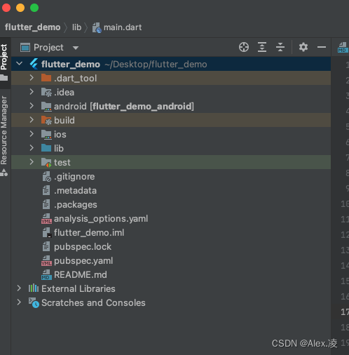 Flutter 项目代码目录详解_flutter linux 下的代码都在lib文件-CSDN博客