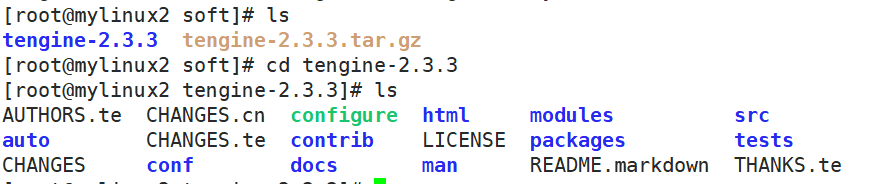 Tengine的Linux下安装和启动-CSDN博客
