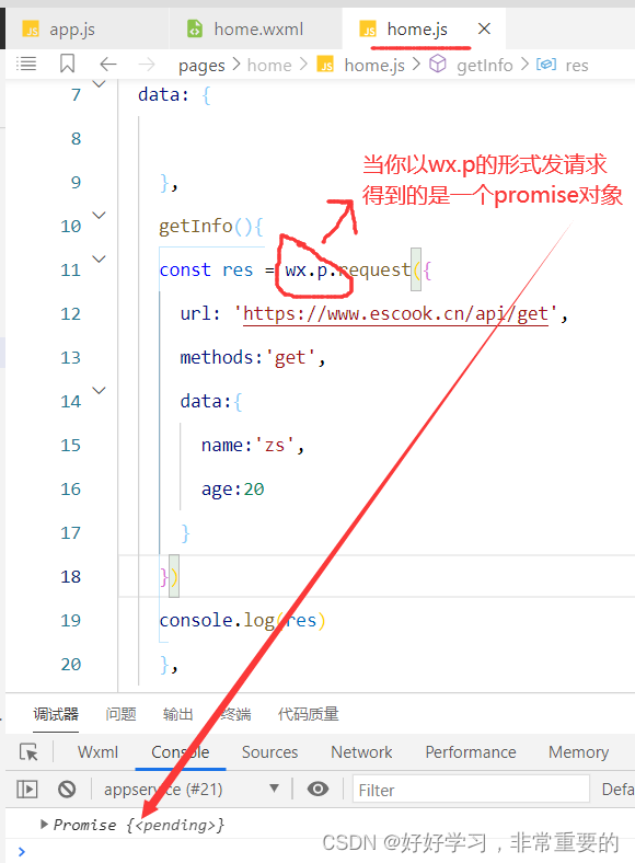 Day09--小程序API的Promise化_小程序promise request-CSDN博客