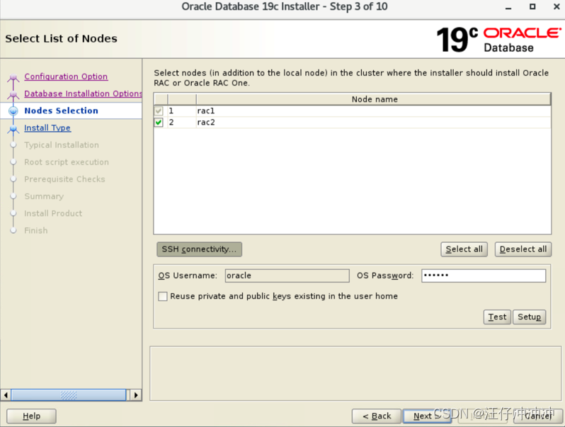 oracle 19c rac搭建详细攻略_oracle19c数据库实例-CSDN博客