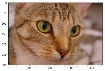 skimage.io与skimage.data模块详解_from skimage import data中data有哪些内容可以引用-CSDN博客