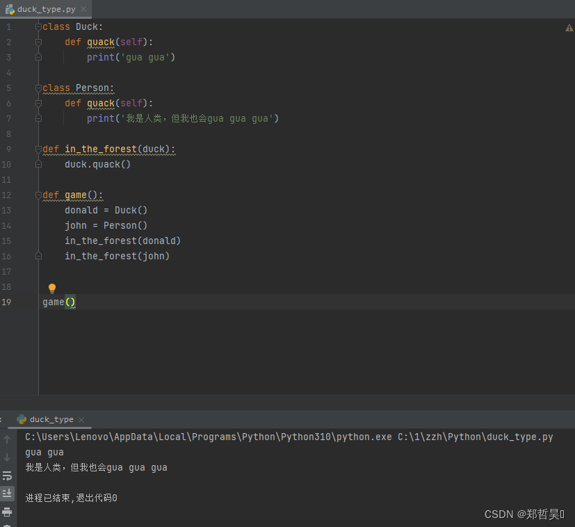Python语言基础及鸭子类型-CSDN博客