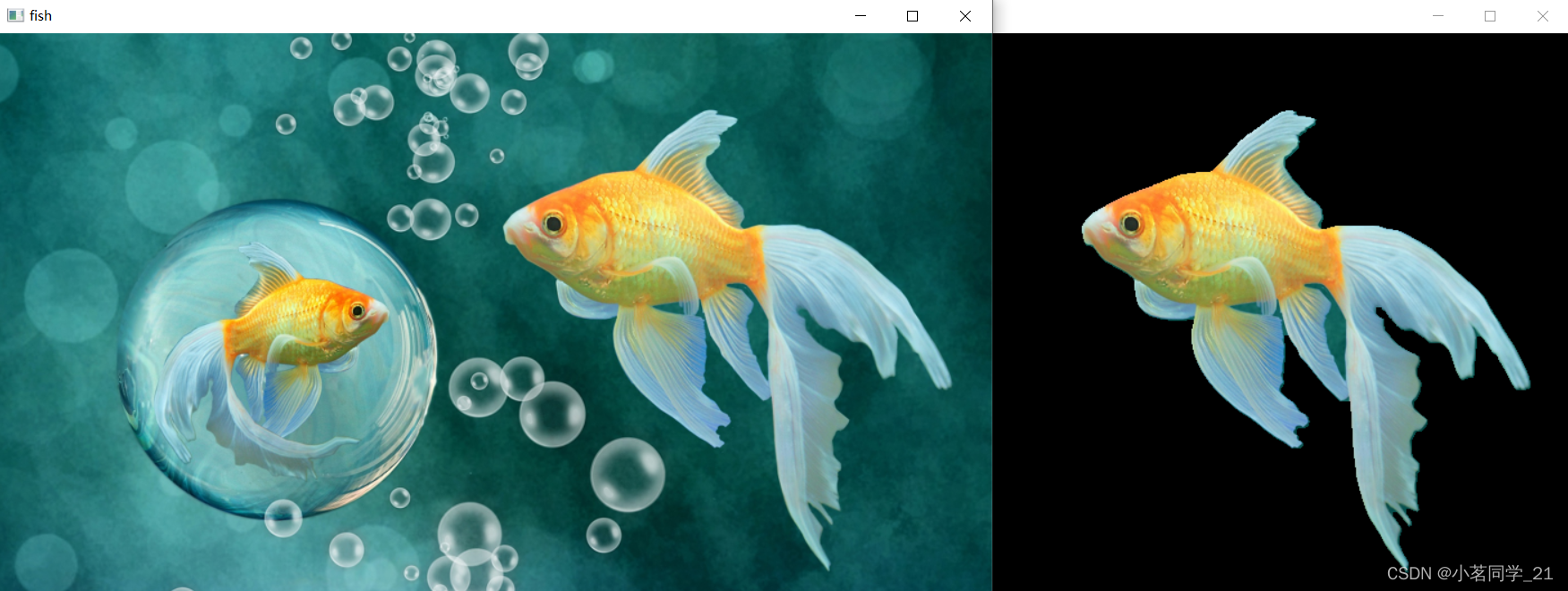 最详细的 Opencv--图像提取裁剪_opencv图像裁剪-CSDN博客