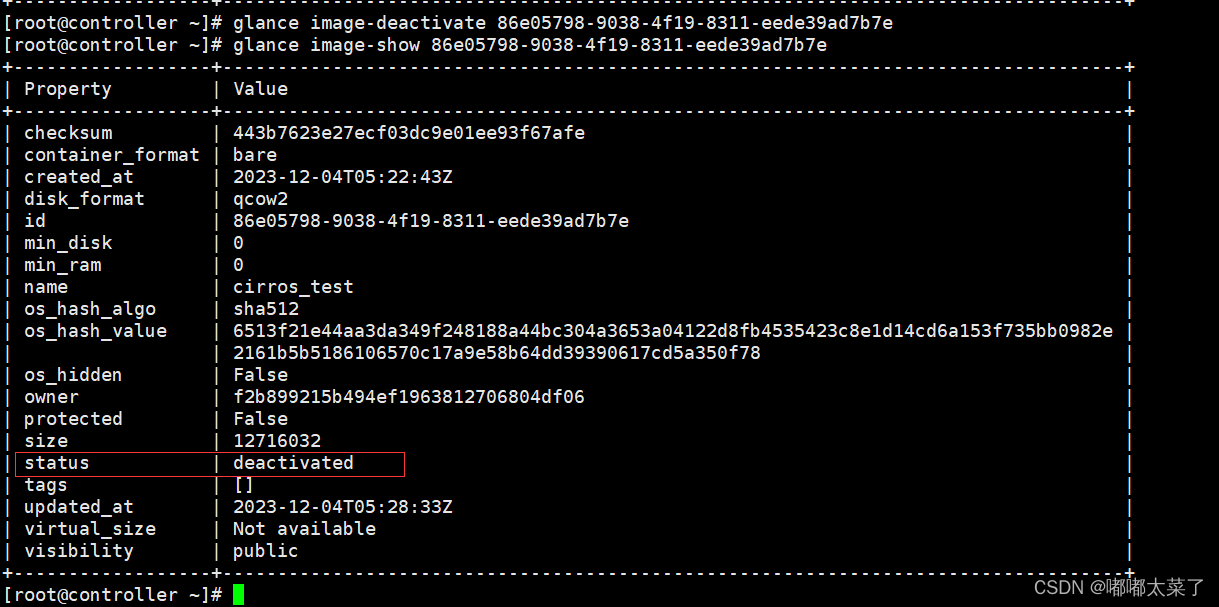 【Openstack Train】十五、glance命令、Python SDK_glance镜像删除命令-CSDN博客