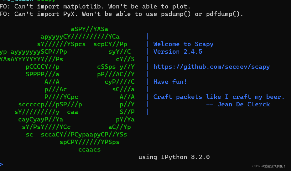 深入理解scapy：数据包解析与提取-CSDN博客
