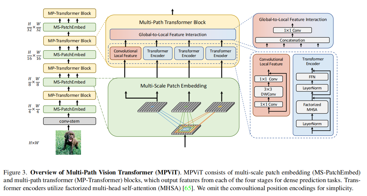 MPViT : Multi-Path Vision Transformer for Dense Prediction详解-CSDN博客