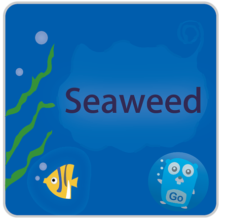 SeaweedFS介绍安装集群部署总结_seaweedfs集群部署-CSDN博客