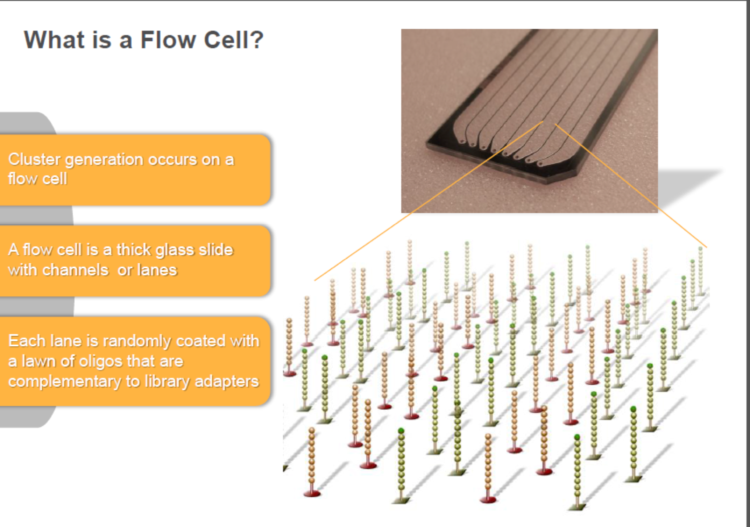 Illumina测序技术详解-CSDN博客