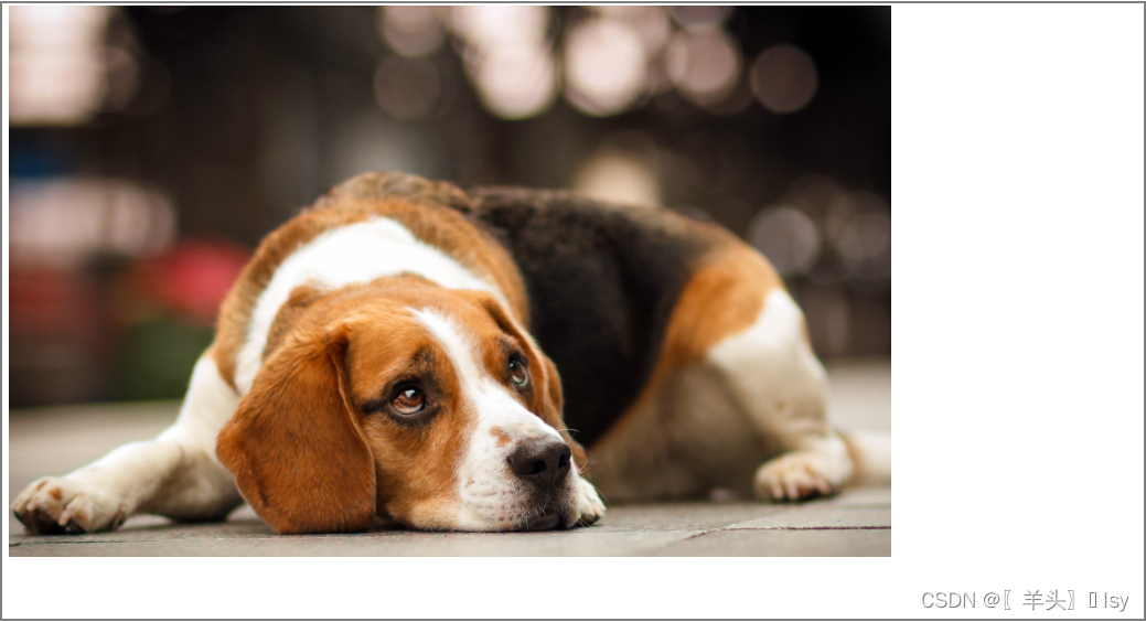 Python模块MarkupPy & 自定义html报告_python markup-CSDN博客