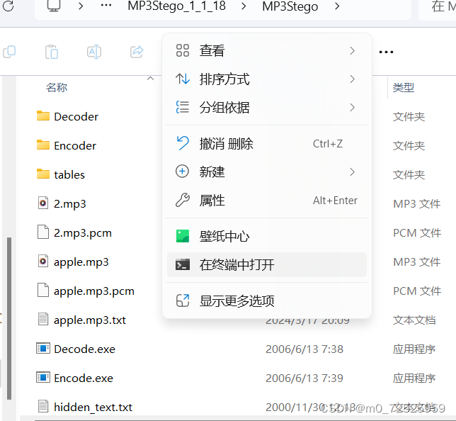 MP3Stego解决隐写问题-CSDN博客