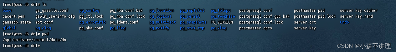 openGauss数据库配置详解：pg_xlog,pg_hba.conf及连接参数,-CSDN博客