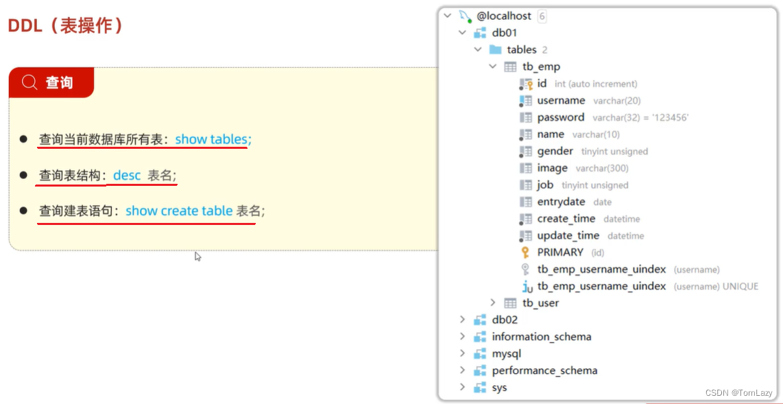 【Java Web】006 -- MySQL（DDL & DML）_系统配置表数据库设计-CSDN博客