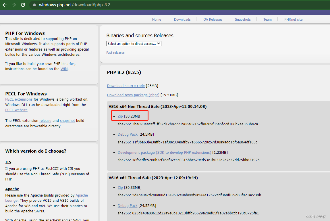 PHP-8.2.5+IIS10 php-cgi.exe - FastCGI 进程意外退出-CSDN博客
