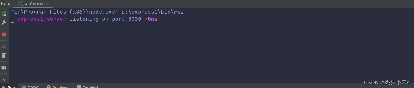WebStorm创建第一个Express项目_webstorm怎么创建项目-CSDN博客