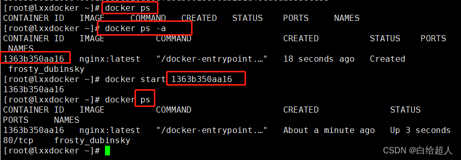 【docker】docker的基础命令_ydqit-CSDN博客