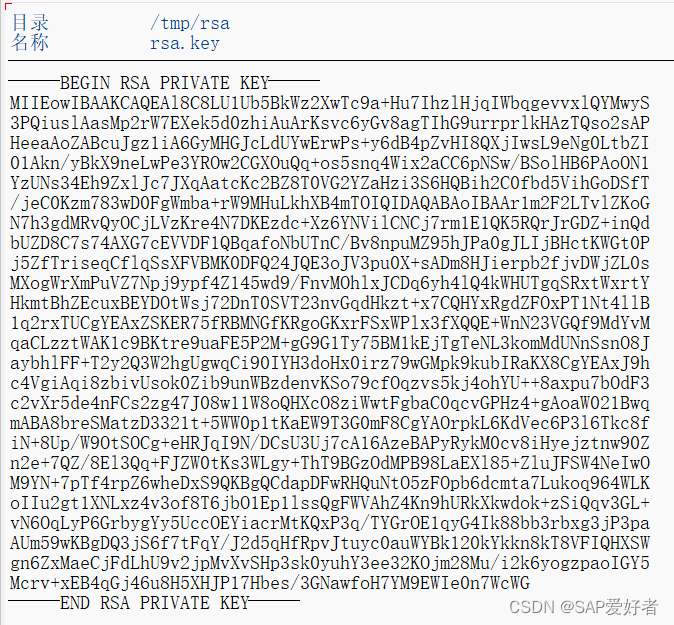 示例 在 ABAP 中使用自己的 RSA 实现 RSA Encryption in ABAP_abap rsa解密需要的配置-CSDN博客
