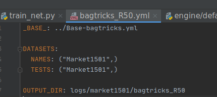 FastReID教程：参数调整、模型加载与数据集应用详解-CSDN博客