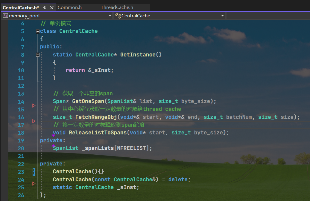 CentralCache中心缓存_central cache-CSDN博客