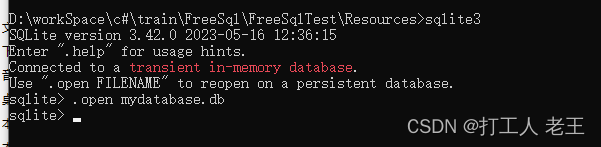 C# FreeSql使用，基于Sqlite的DB Frist和Code First测试-CSDN博客