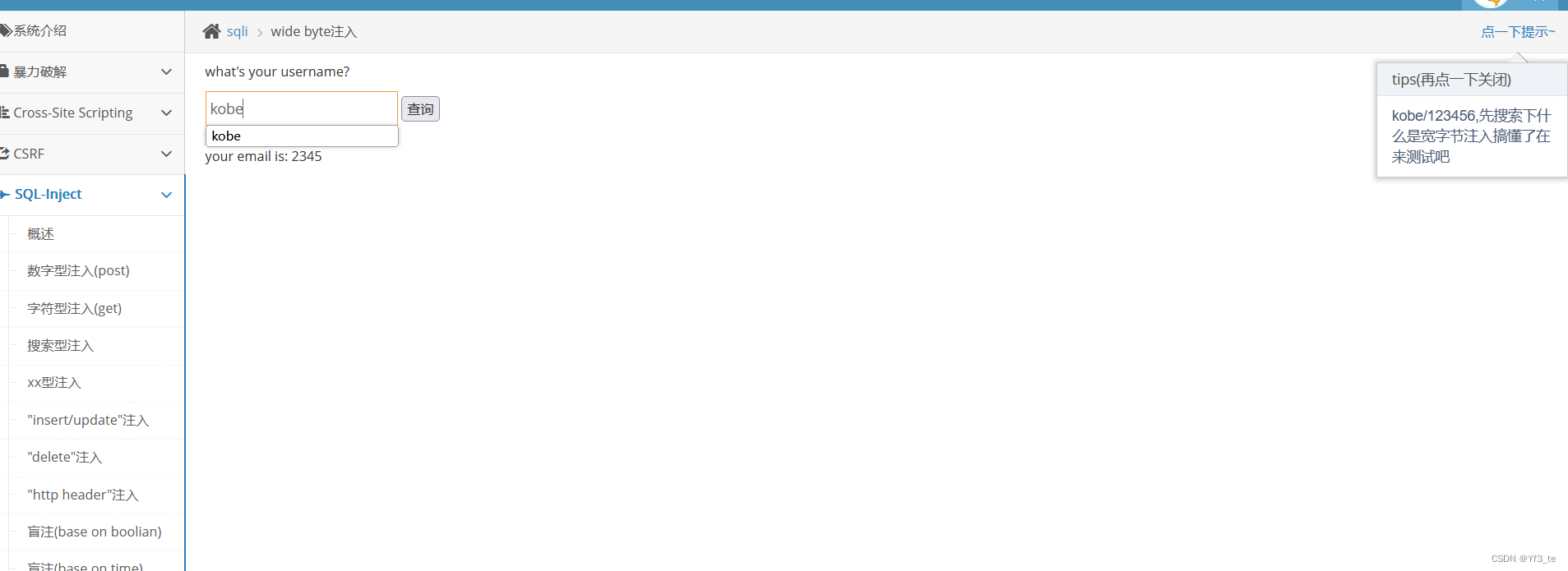 pikachu之特殊注入之搜索型注入、xx型注入、insert/update注入、delete注入、宽字节注入_pikachu搜索型注入-CSDN博客