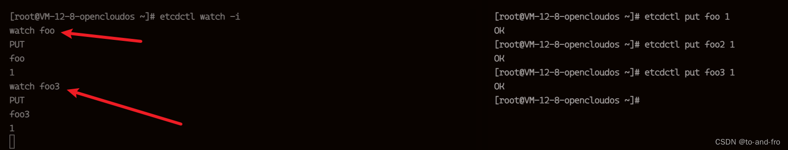 ETCD安装部署与etcdctl常用命令_etcdctl 安装-CSDN博客