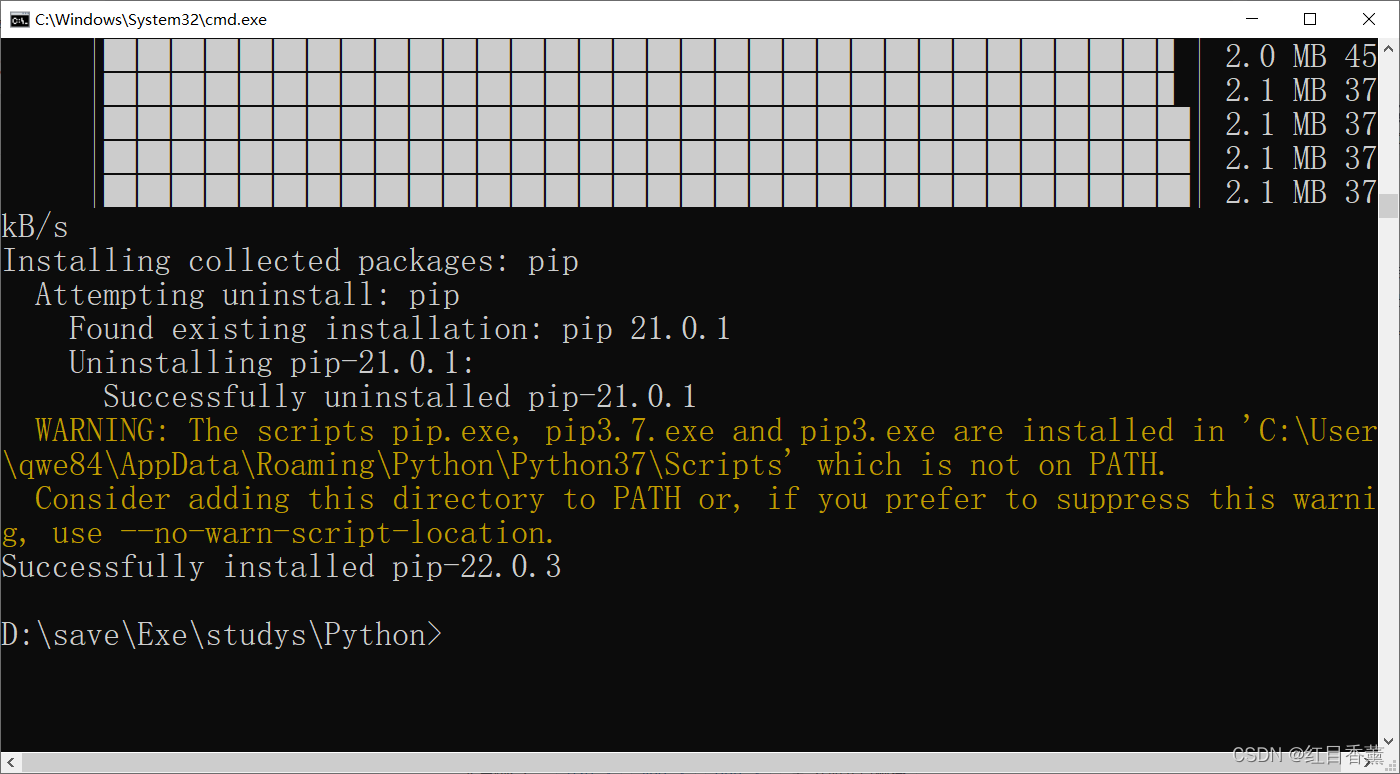 No module named pip-CSDN博客