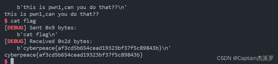 攻防世界 pwn——pwnstack-CSDN博客