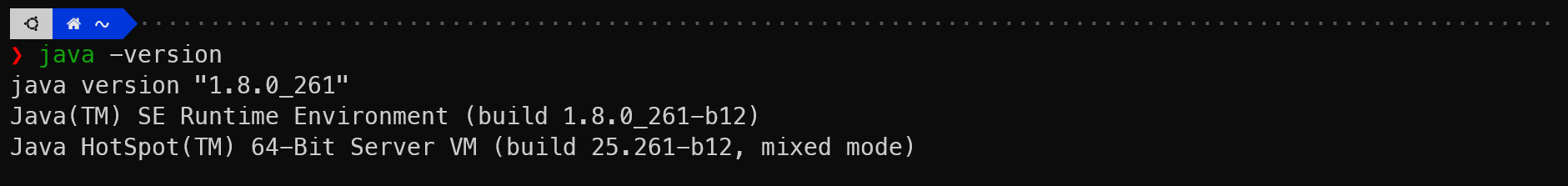 wsl配置java环境以及使用vscode调试_在wsl通过vscode可以env.render()吗-CSDN博客