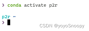 解决oh-my-zsh主题 powerlevel10k 不显示conda虚拟环境名字_解决oh-my-zsh主题powerlevel10k 不显示conda-CSDN博客