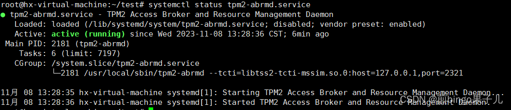 tpm2-tools 实例使用-CSDN博客