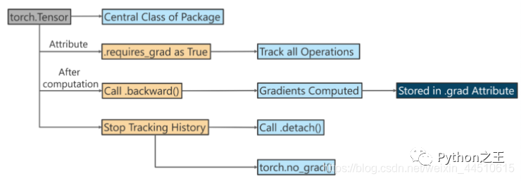 【小白学习PyTorch教程】一、PyTorch基本操作-CSDN博客