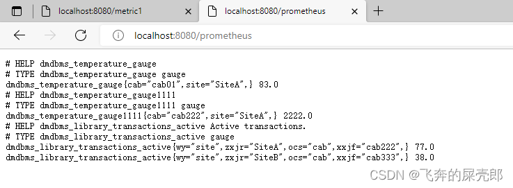spring Boot开发prometheus的自定义exporter组件_meterbinder-CSDN博客