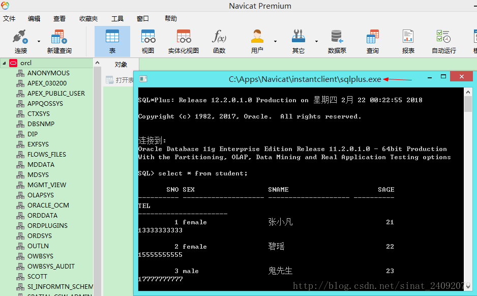 windows sqlplus客户端连接oralce数据库中文显示问题-CSDN博客
