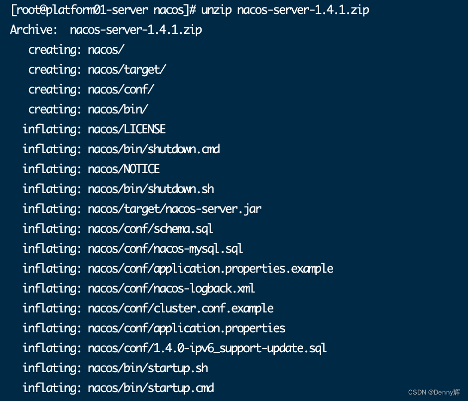 Linux 部署Nacos_linux部署nacos-CSDN博客