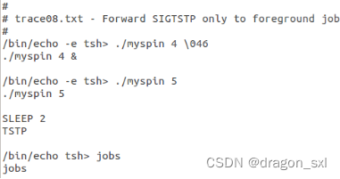 实验四-Shelllab实验（csapp、计算机系统外壳实验）_shell lab-CSDN博客