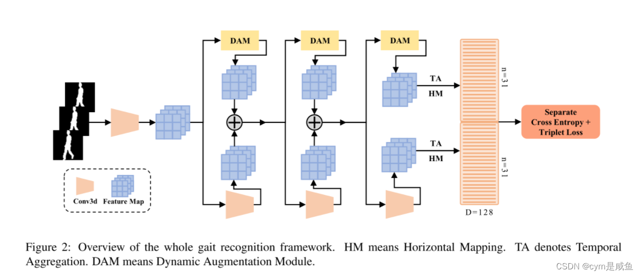 DyGait: Exploiting Dynamic Representations for High-performance Gait Recognition-CSDN博客
