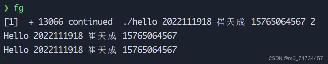 哈工大2024春csapp大作业——程序人生-Hello’s P2P_哈工大csapp大作业-CSDN博客