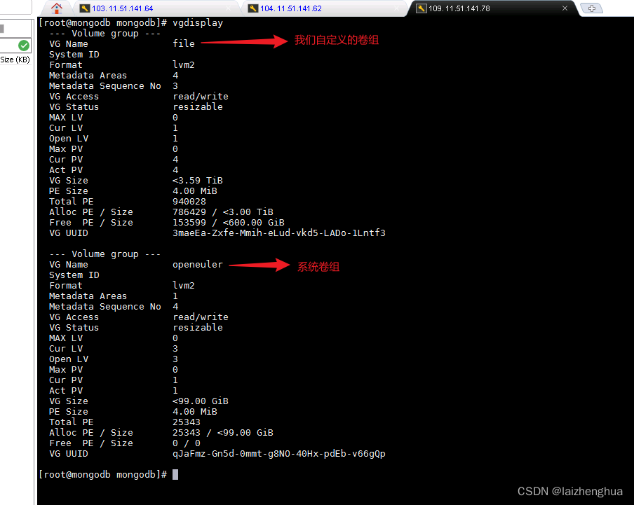 Linux逻辑卷（LV）扩容_linux lv扩容-CSDN博客