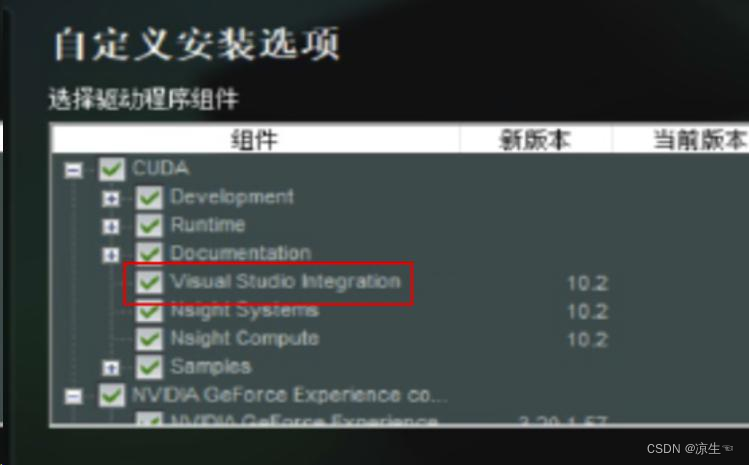 Win10-Yolov5实战+TensorRt部署+Visual Studio2019环境配置+Cmake编译_cuda visual studio 2019 cmake配置-CSDN博客